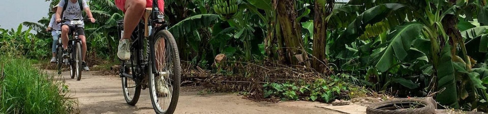 EXO | EXO Experiences