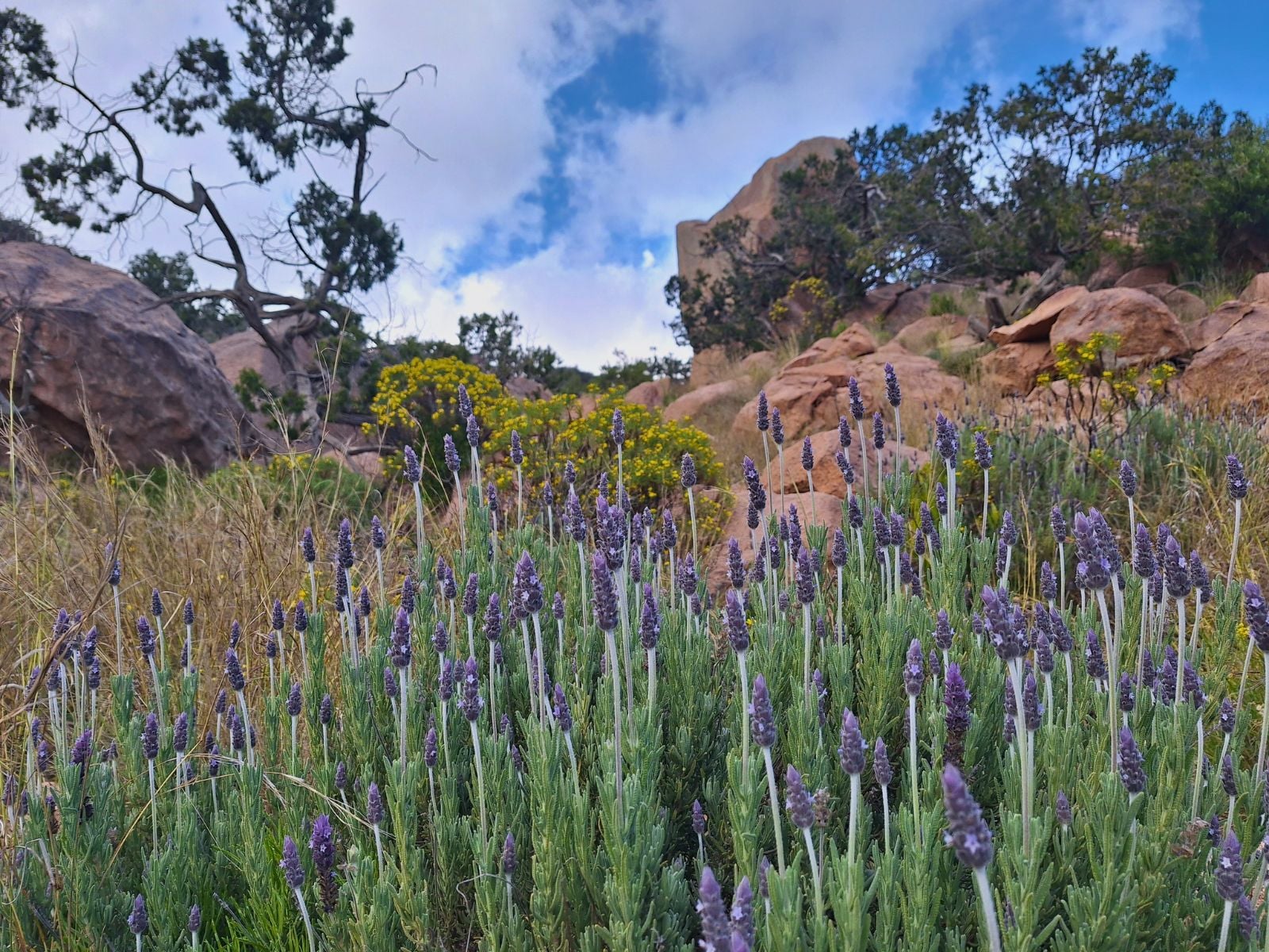 EXO | Travel For Good