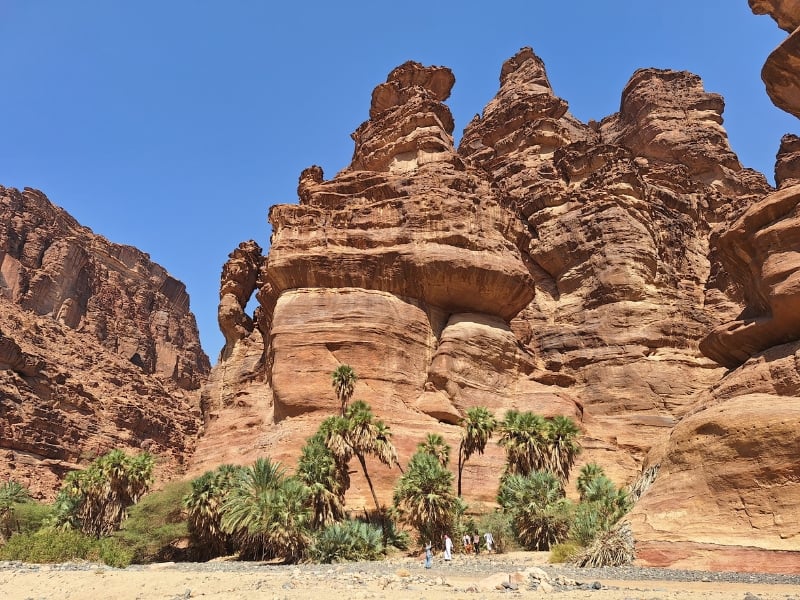 EXO | EXO Experiences