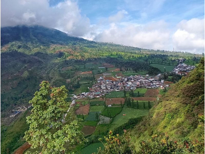 EXO | EXO Experiences