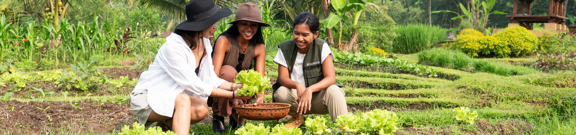 EXO | EXO Experiences