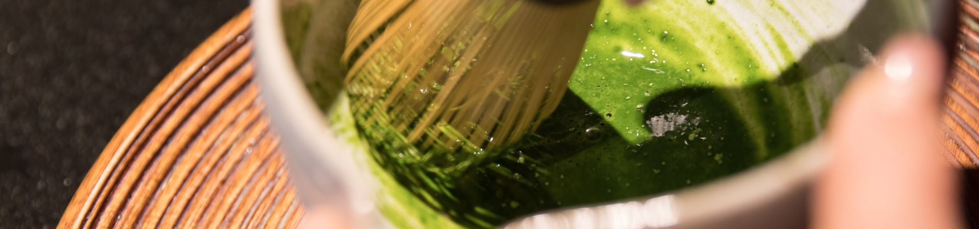 EXO | EXO Experiences