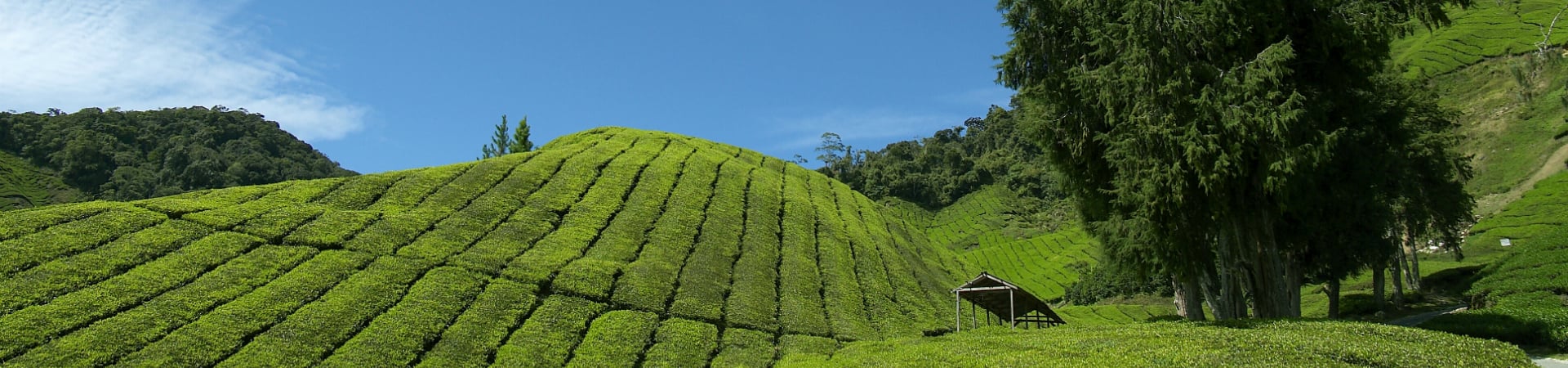 EXO | EXO Experiences