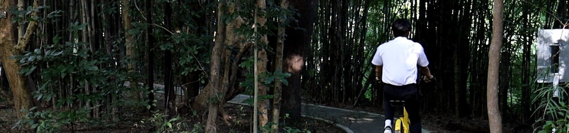 EXO | EXO Experiences