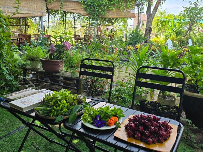 EXO | EXO Experiences