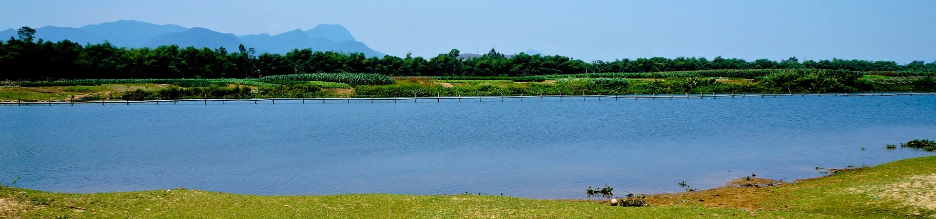 EXO | EXO Experiences