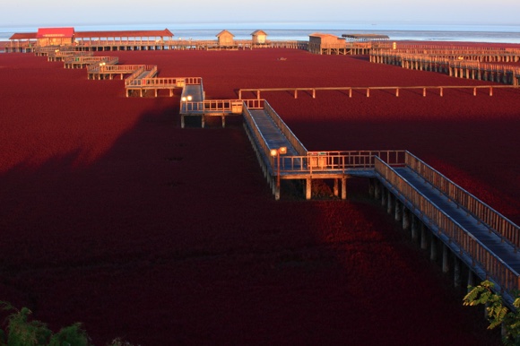 New Tour China: Manchuria By High Speed Train (7 Days / 6 Nights)