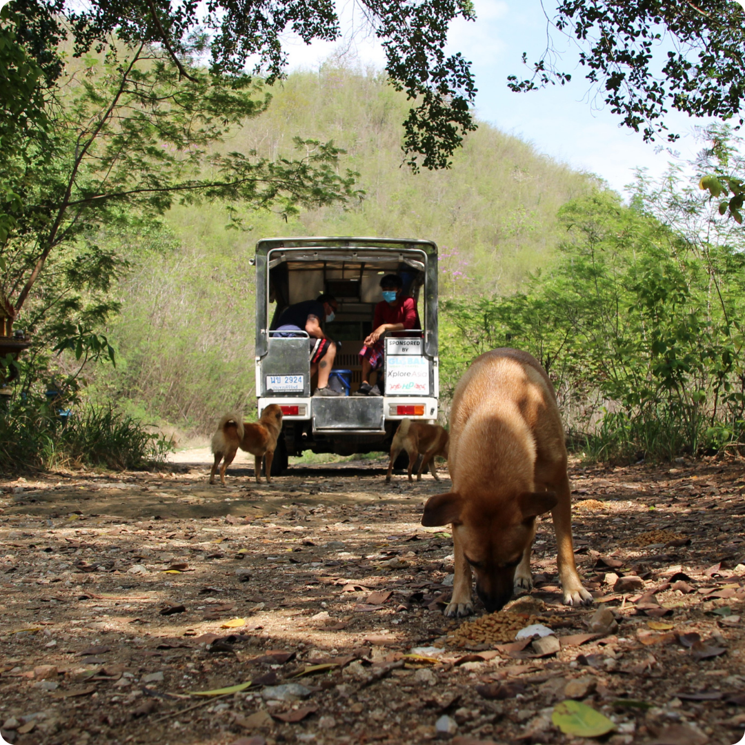 EXO Foundation expands its impact with new initiatives - EXO Travel Blog