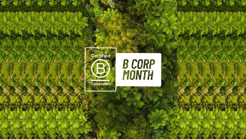 The B Corp difference: Understanding the meaning of certification - EXO ...