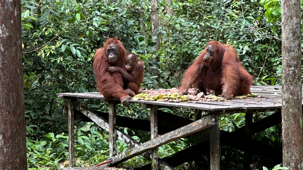 Destinations - EXO Travel Blog