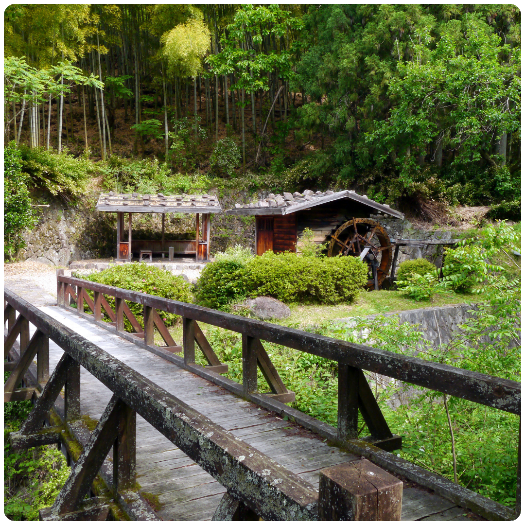 Discover Japan’s best hiking trails - EXO Travel Blog