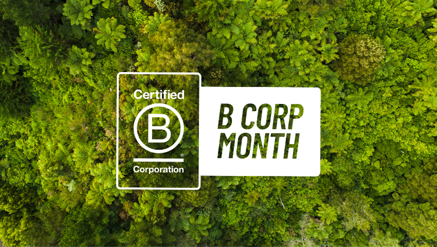 The Road to B Corp: Understanding the five impact areas - EXO Travel Blog