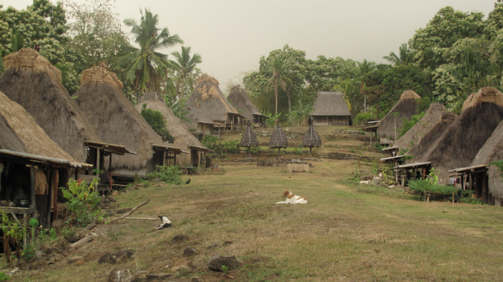 Destinations - EXO Travel Blog