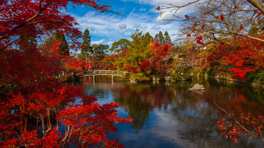 Japan: A season by season travel guide - EXO Travel Blog