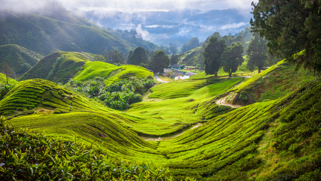 Malaysia: A season by season travel guide - EXO Travel Blog