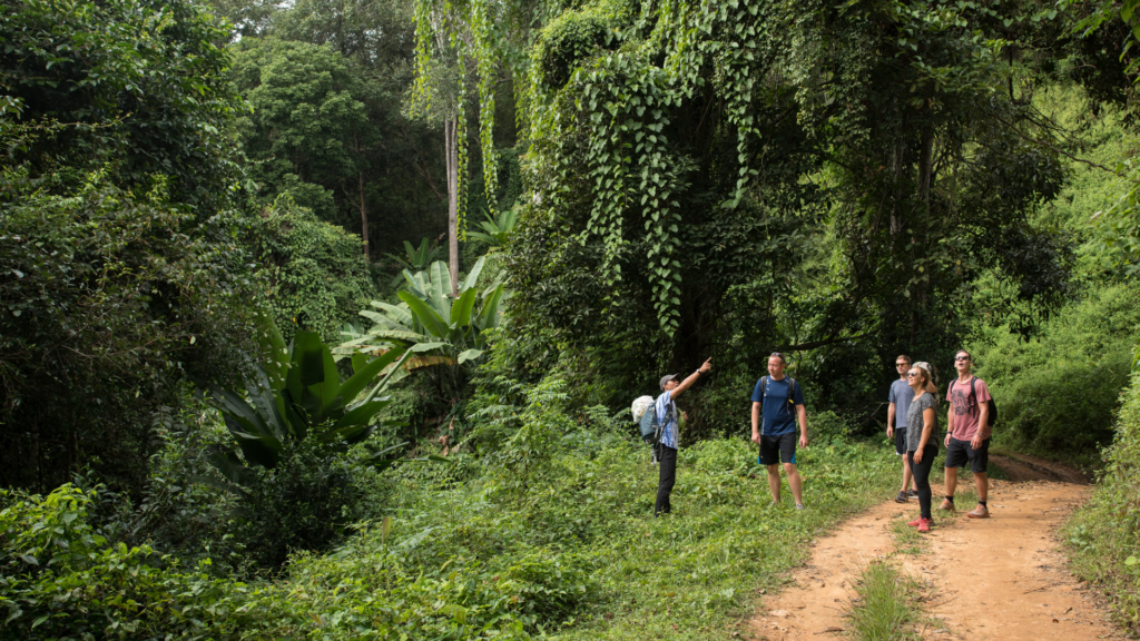 Leading the Way: EXO's specialised tour leader training - EXO Travel Blog