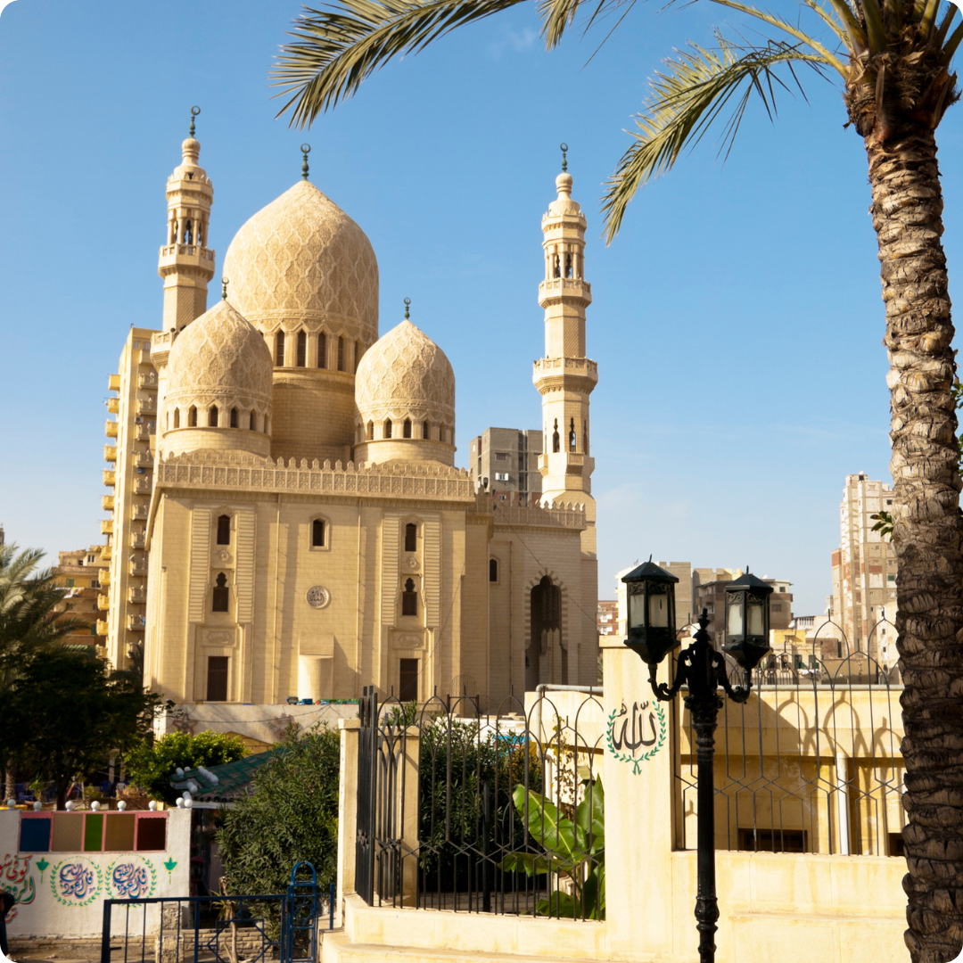 Alexandria: Egypt’s Mediterranean Window - EXO Travel Blog