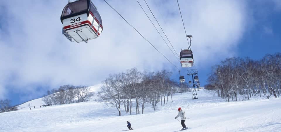 Powder Snow in Niseko - Tour - EXO Travel