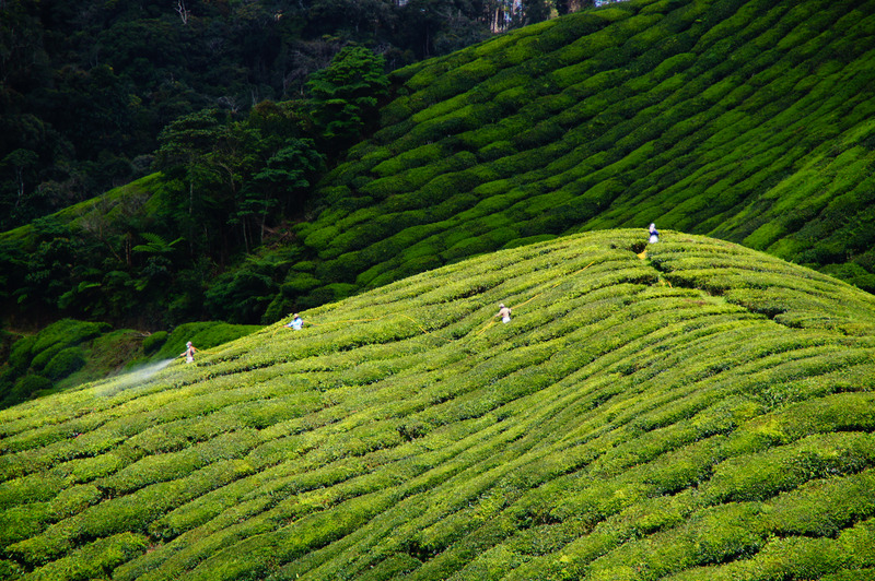 Incredible Journeys in Destinations Throughout Asia | EXO Travel